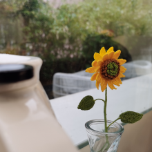 amieee的个人主页_设计作品集 - 享设计